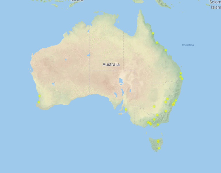 How to Use the NBN Outage Map Like a Pro (3 Secret Tricks)